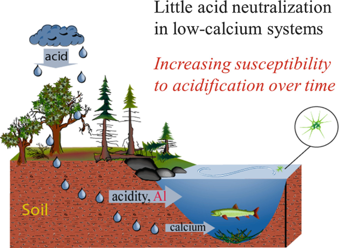Acid Deposition | SpringerLink
