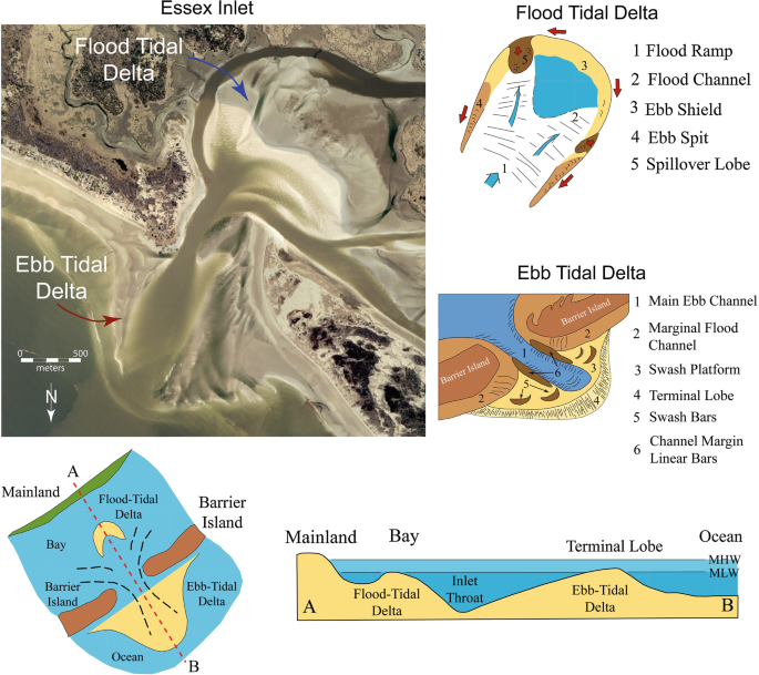 Tidal Inlets | SpringerLink