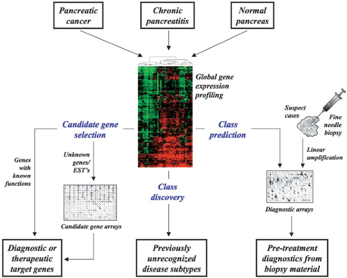 Microarrays in Pancreatic Cancer | SpringerLink