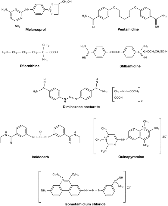 DNA-Synthesis-Affecting Drugs III: Interference with Polyamine ...