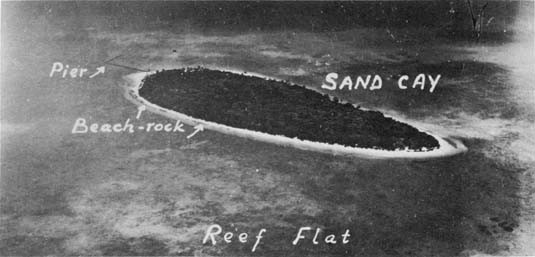 Sand cay | SpringerLink