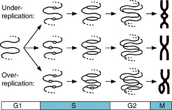 Replication Licensing System | SpringerLink