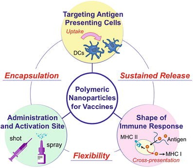 Vaccine | Springer Nature Link