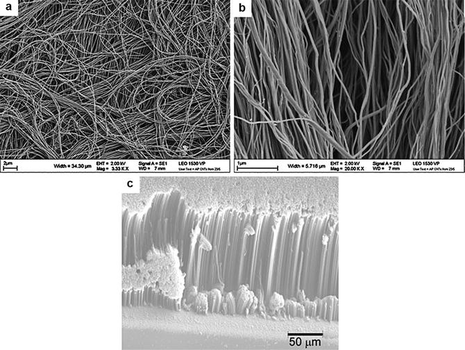 Aligned Carbon Nanotube | SpringerLink