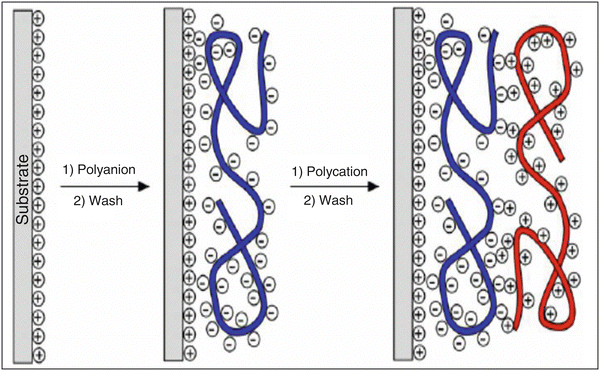 Enzymatic Ultrafiltration Membranes (Immobilization of Urease and ...