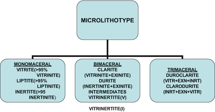 Microlithotype | SpringerLink