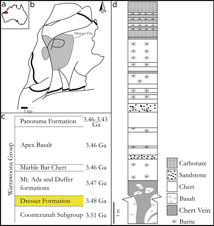 Dresser Formation, Traces of Life | SpringerLink