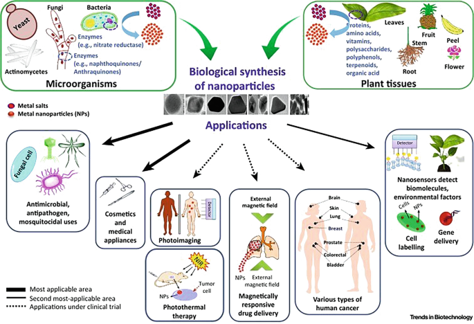 Green Nanomaterials and Their Applications | Springer Nature Link ...