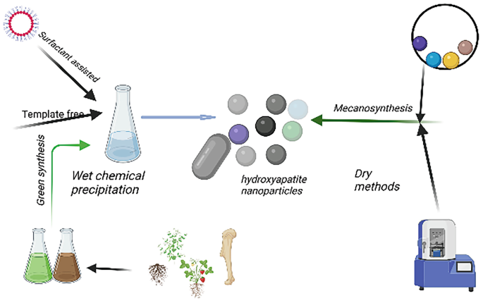 Hydroxyapatite Nanoparticles as Potential Fertilizers | SpringerLink
