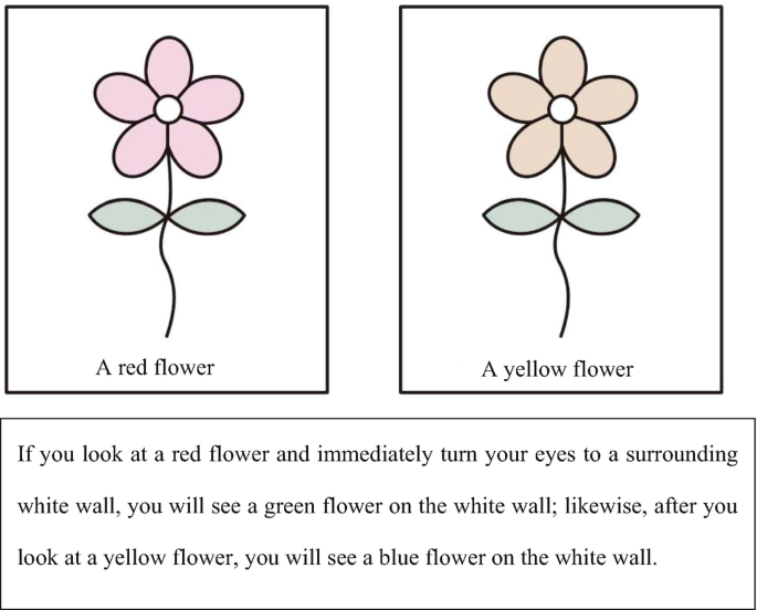 Afterimage | SpringerLink