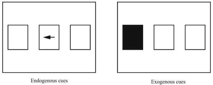 Attentional Cueing Paradigm | SpringerLink