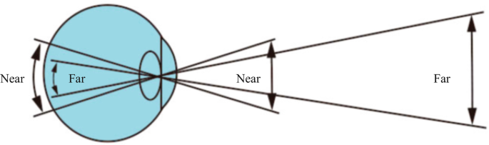 Size Perception | SpringerLink