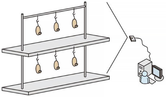 Tail Suspension Test | Springer Nature Link