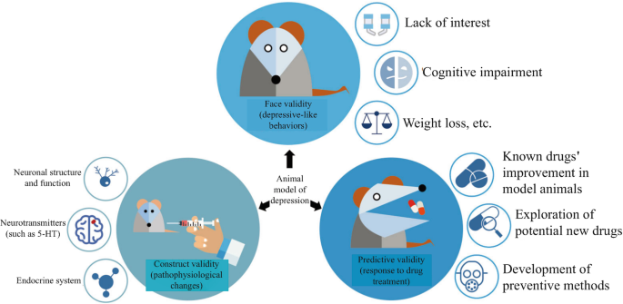 Validity of an Animal Model | SpringerLink