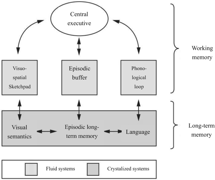 Working Memory | SpringerLink