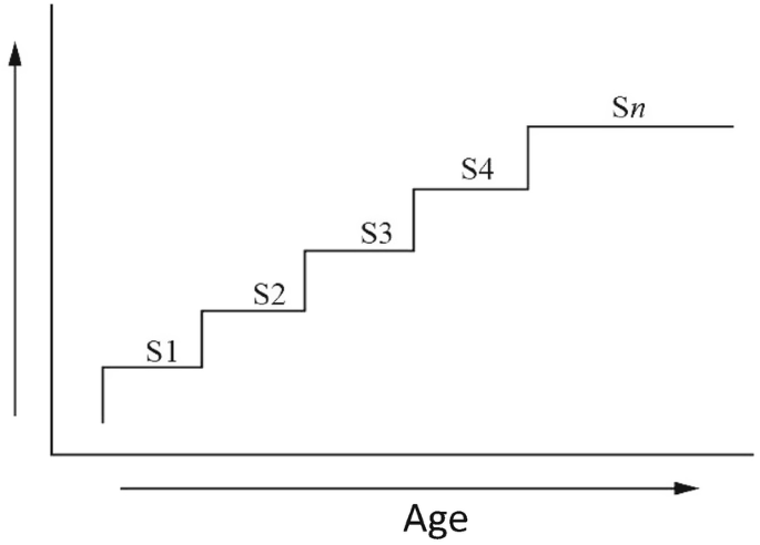 Developmental Continuity Versus Discontinuity | SpringerLink