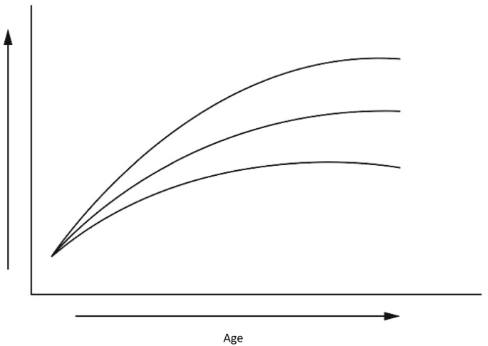 Developmental Continuity Versus Discontinuity | SpringerLink