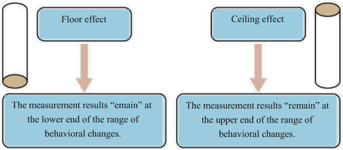 Floor Effect | Springer Nature Link