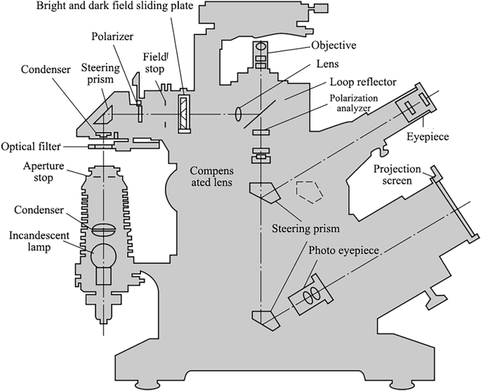 Optical Microscopy | SpringerLink