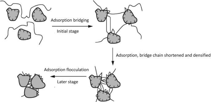 Selective Flocculation Flotation | SpringerLink