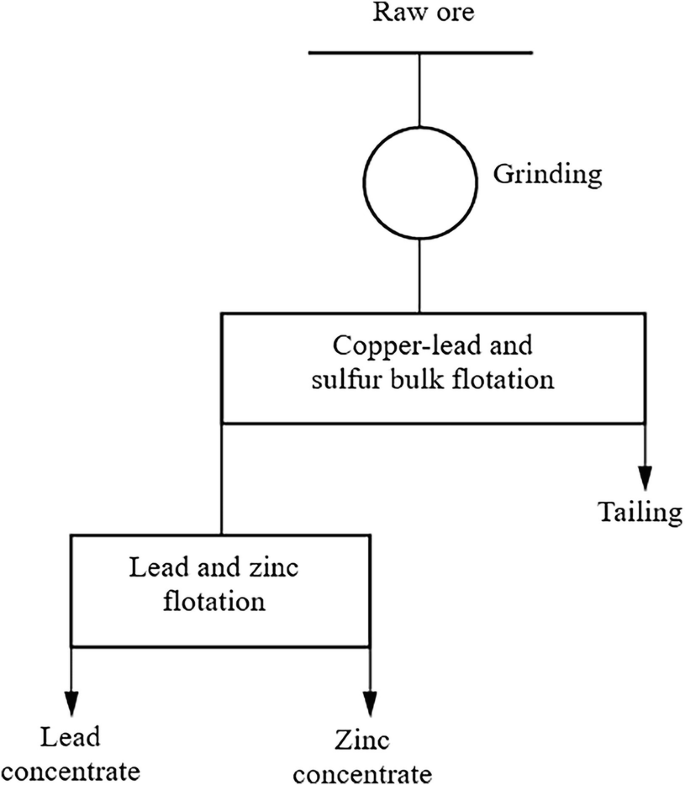 Bulk Flotation | SpringerLink