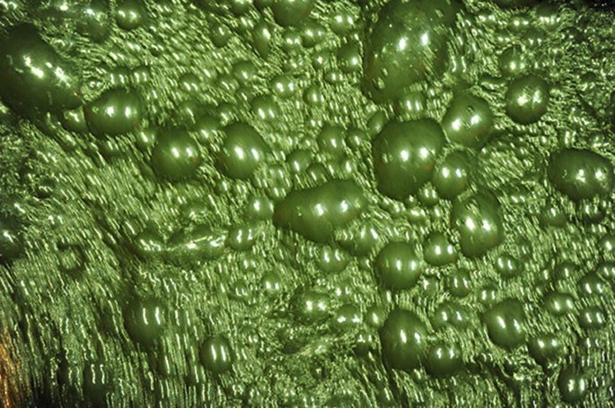 Flotation | SpringerLink