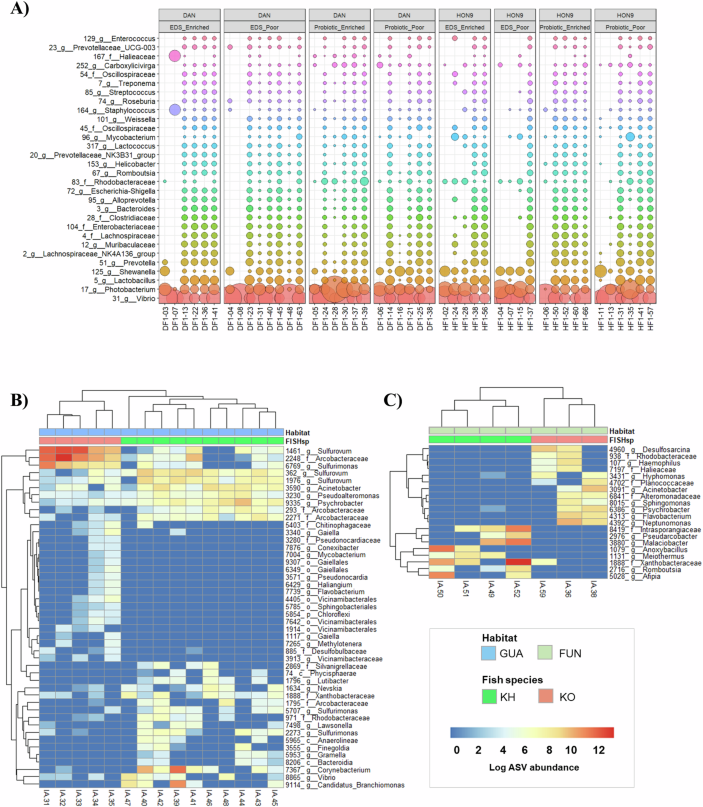 Author Correction: Microbiome and epigenetic variation in wild fish ...