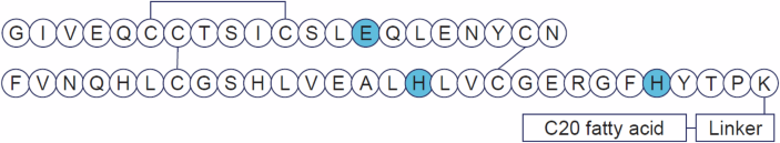 Enhanced disulphide bond stability contributes to the once-weekly ...