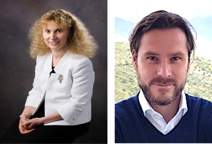 Q&A Translational Cancer Nanomedicine | Nature Communications