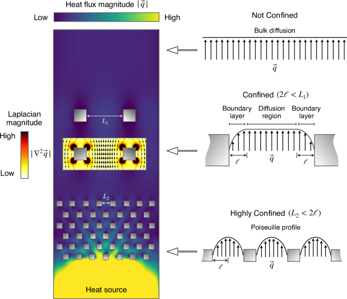 Nanoscale confinement of phonon flow and heat transport | npj Computational Materials