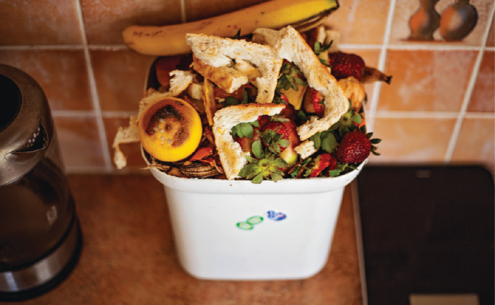 Making household food waste reduction easier | Nature Human Behaviour