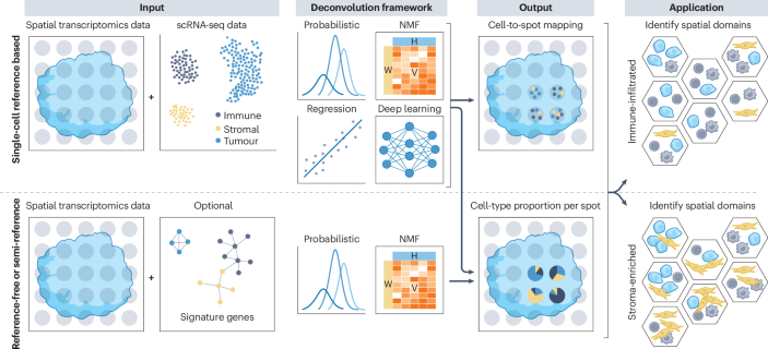 A guide to transcriptomic deconvolution in cancer | Nature Reviews Cancer