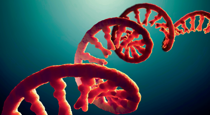 A new class of mRNA drugs targets poison exons | Nature Biotechnology