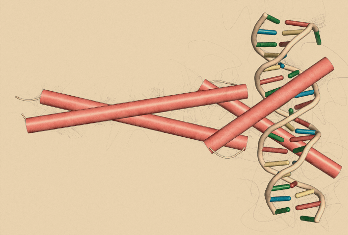 Big pharma seduced by transcription factors again. What has changed ...