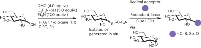 Protecting-group-free radical glycosylation | Nature Synthesis
