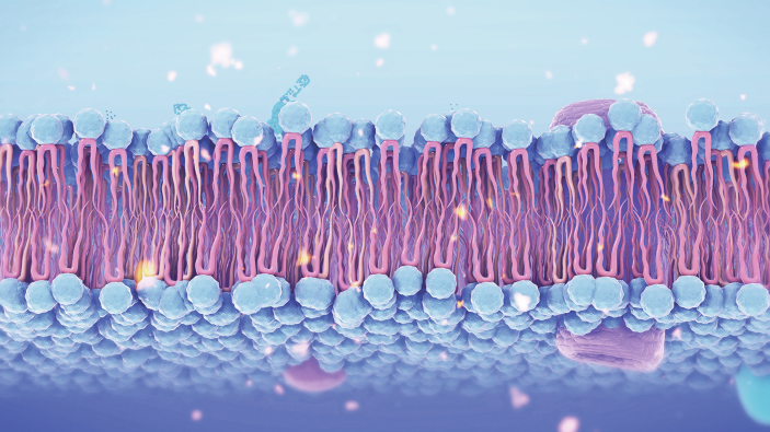 High-resolution imaging of plasma membrane proteins | Nature Reviews ...