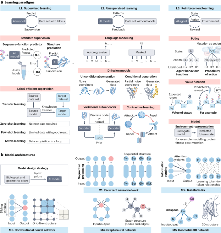 AI-driven protein design | Nature Reviews Bioengineering