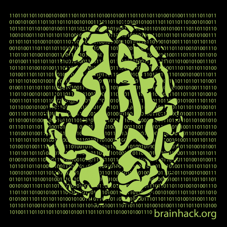 GigaScience | 2015 Brainhack Proceedings