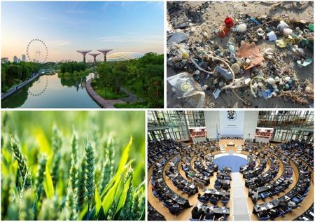 Environmental Sciences Research with Real World Impact