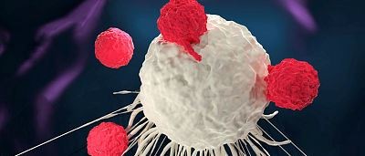 Find out what is new at BMC Cancer | BMC Cancer