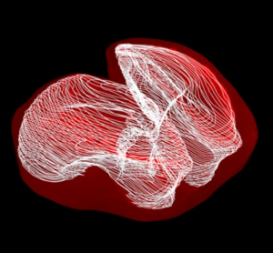 Spotlight on… high-resolution biology