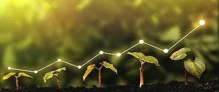 BMC Research Notes | Home page