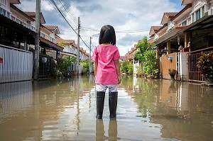 Mental health response to community disasters