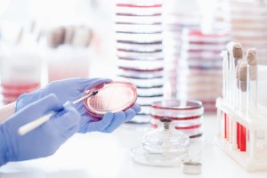 Synthetic and systems biology approaches applied to microbial engineering