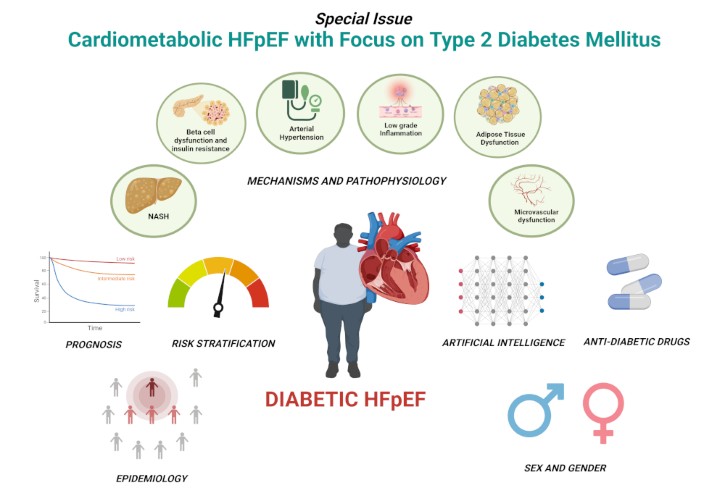 Cardiometabolic HFpEF with focus on type 2 diabetes mellitus