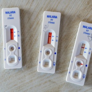 Diagnosing the Data: Malaria RDT Recording and Reporting Accuracy in ...