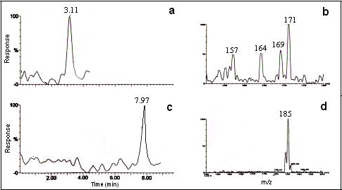 Azoreductase and dye detoxification activities of Bacillus velezensis ...