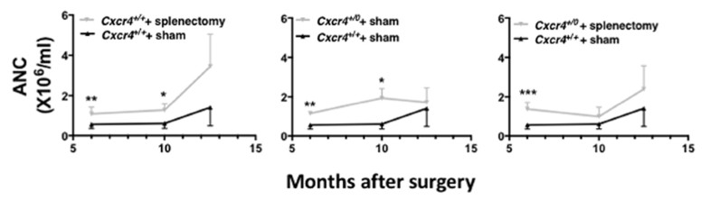 Mechanisms of Sustained Neutrophilia in Patient WHIM-09, Cured of WHIM ...