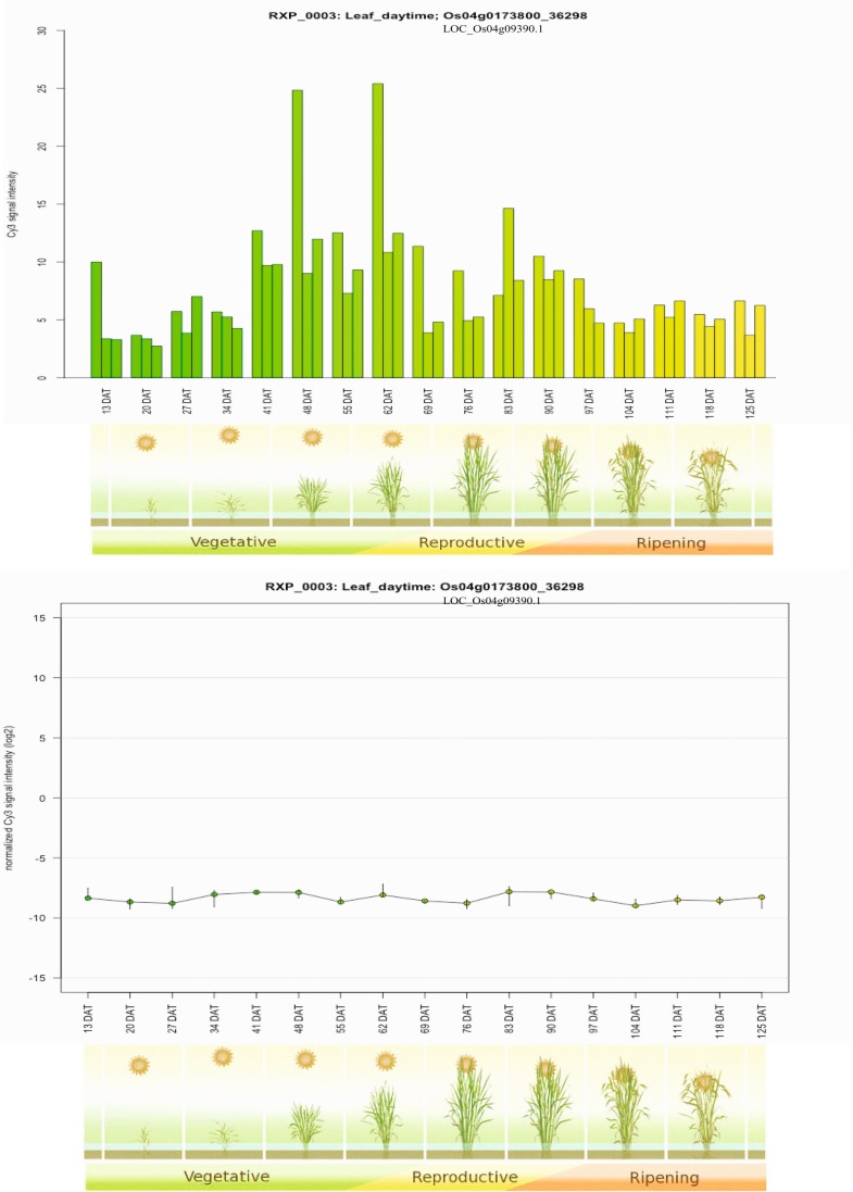 Web Tools for Rice Transcriptome Analyses | SpringerLink