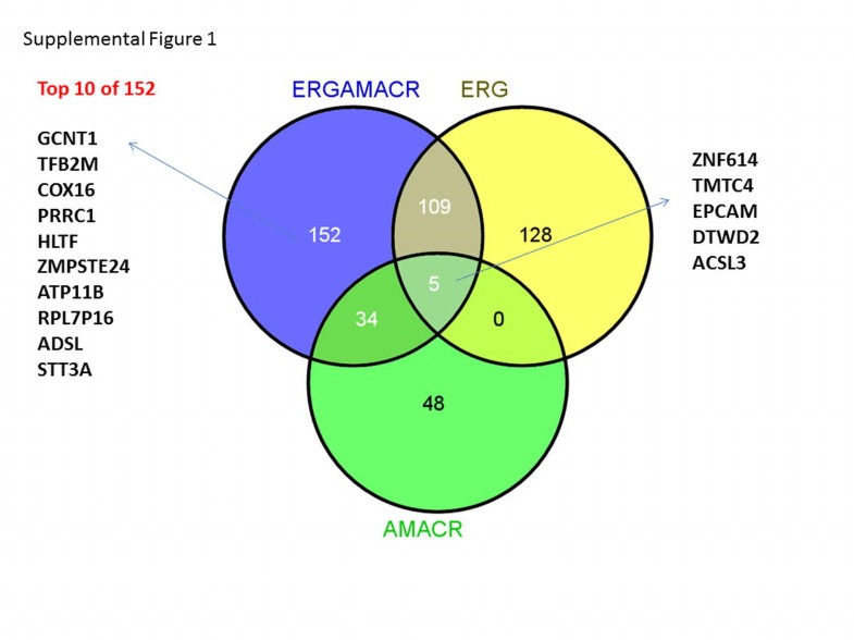 High alpha-methylacyl-CoA racemase (AMACR) is associated with ERG ...